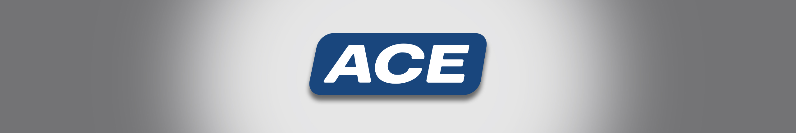 ACE CONTROLS INC